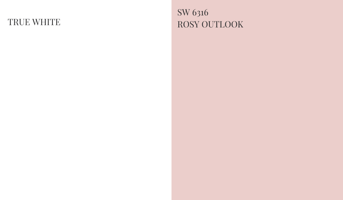 10 Best Sherwin Williams Pink Colors - NISH