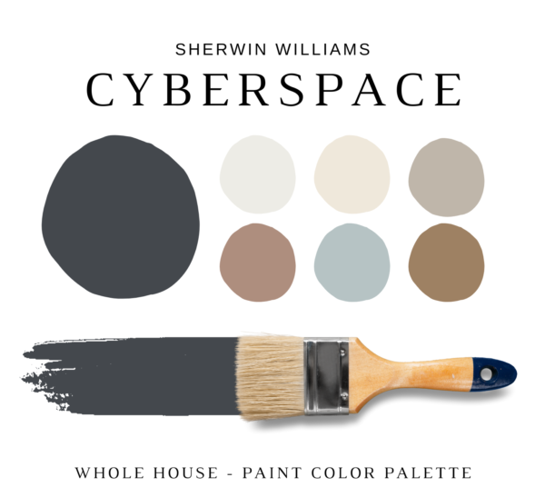 Sherwin Williams CYBERSPACE Color Palette - NISH