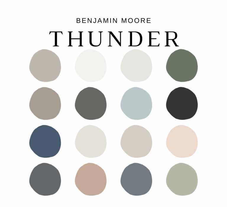 Benjamin Moore THUNDER Color Palette - NISH